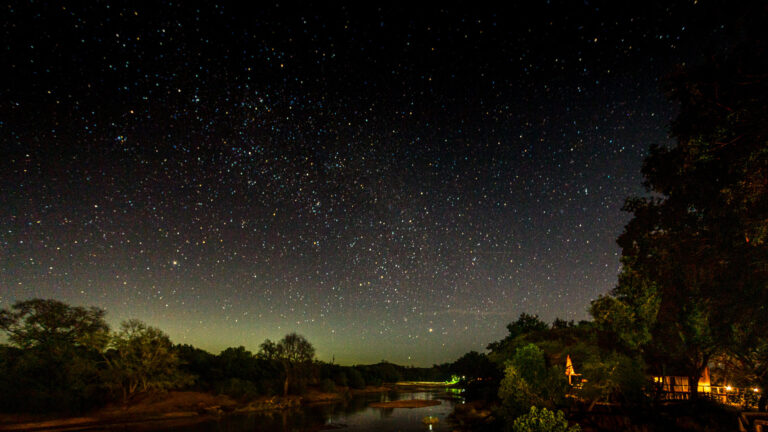 The Pafuri Collection | Luxury Safari in Northern Kruger | RETURN Africa
